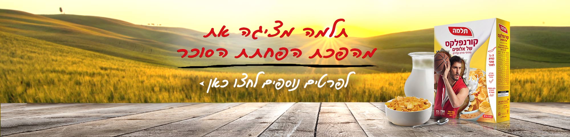 1920x484_caspi | תלמה